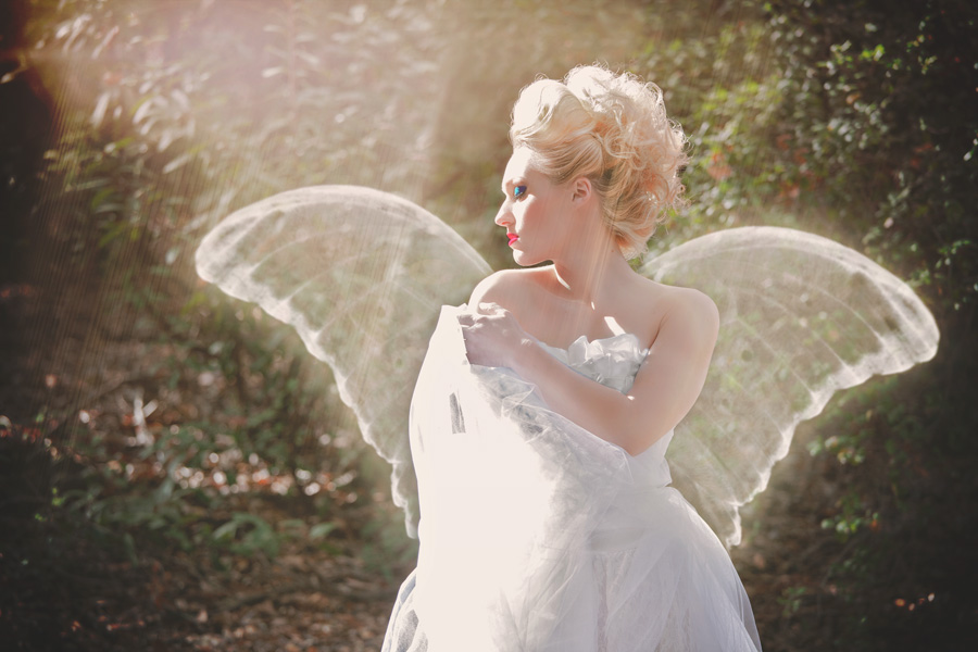 Stacey Shipp Photography - Awesome