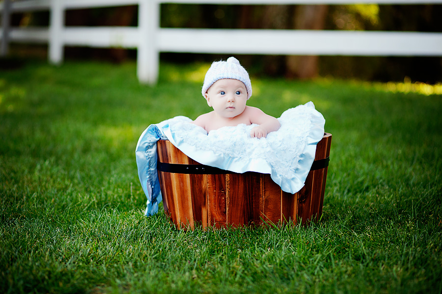 Stacey Shipp Photography - Awesome