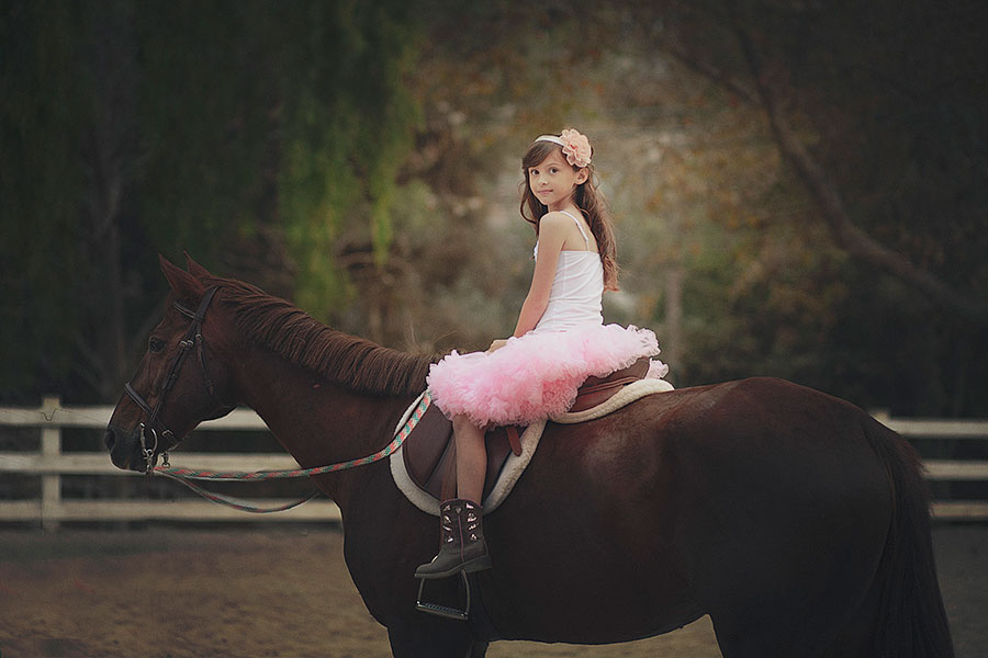 Home » Stacey Shipp Photography
