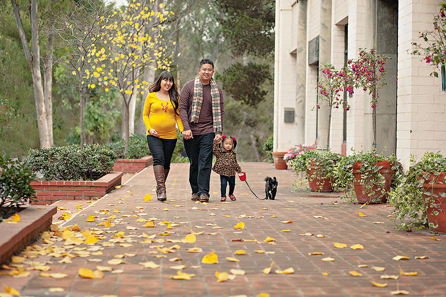 Home » Stacey Shipp Photography