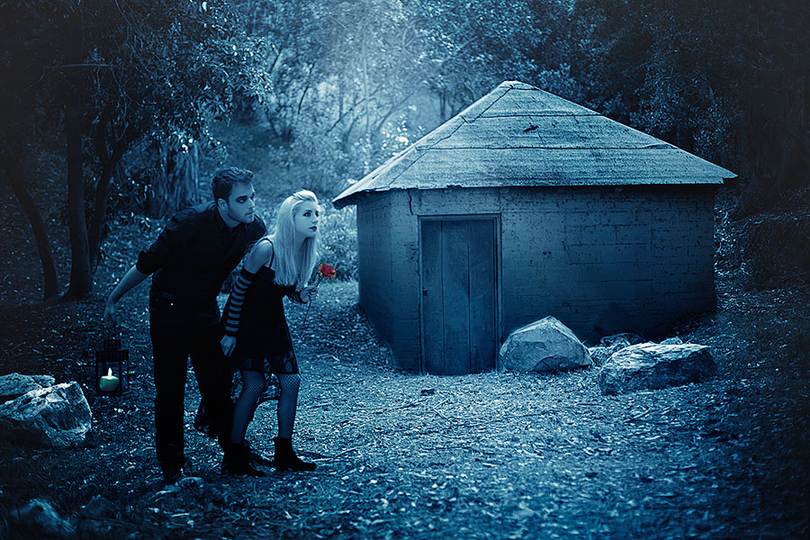 Stacey Shipp Photography - Awesome