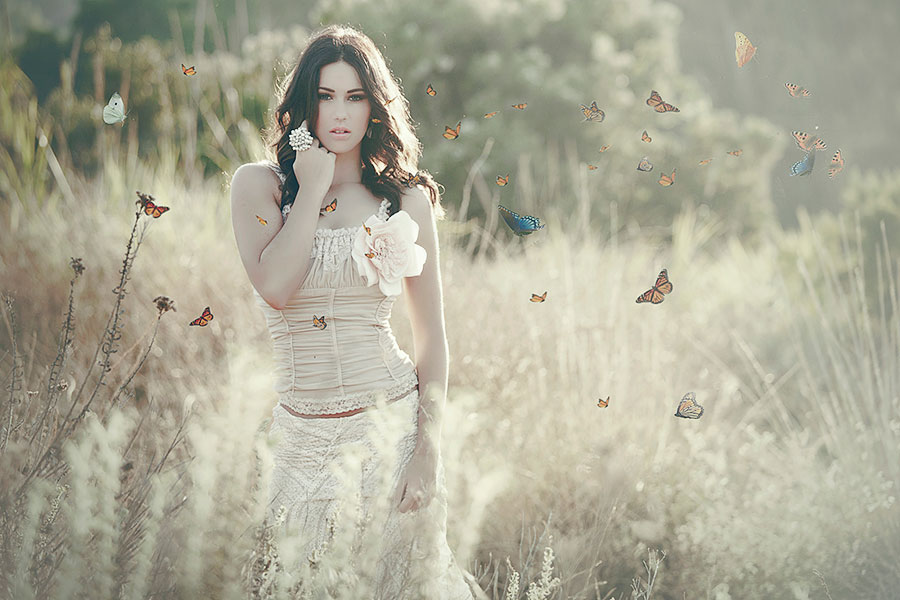 Stacey Shipp Photography - Awesome